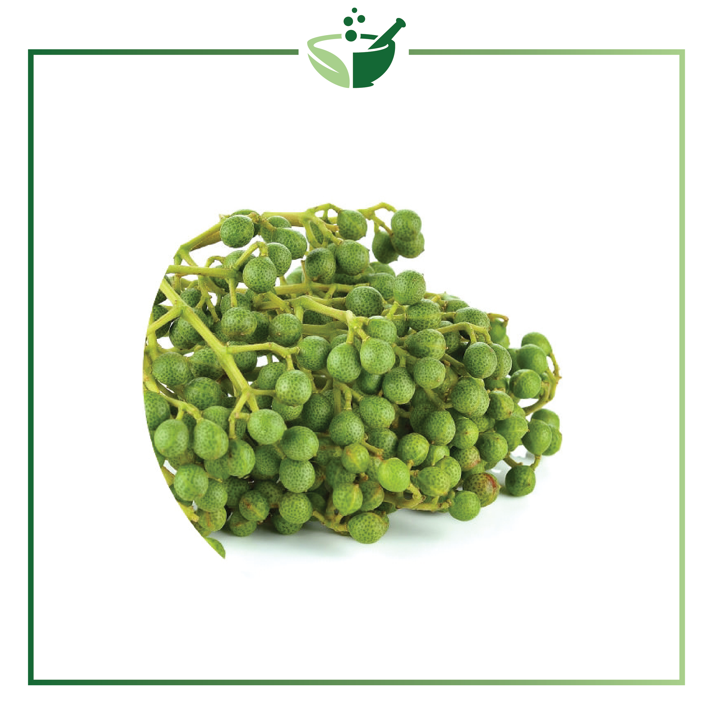 Etarska ulja (India) : May Chang (Litsea cubeba) Essential Oil